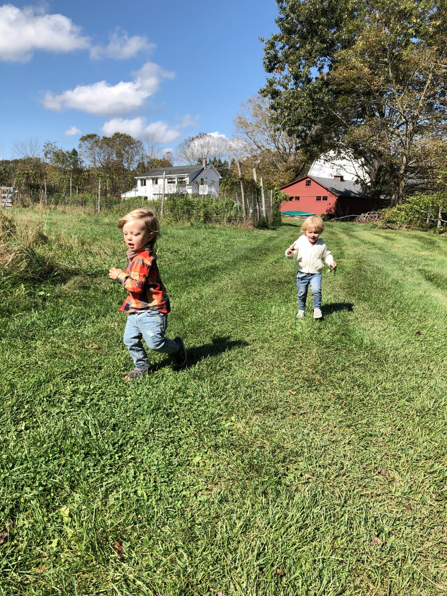 Photos at the Farm - Appleberry Farm