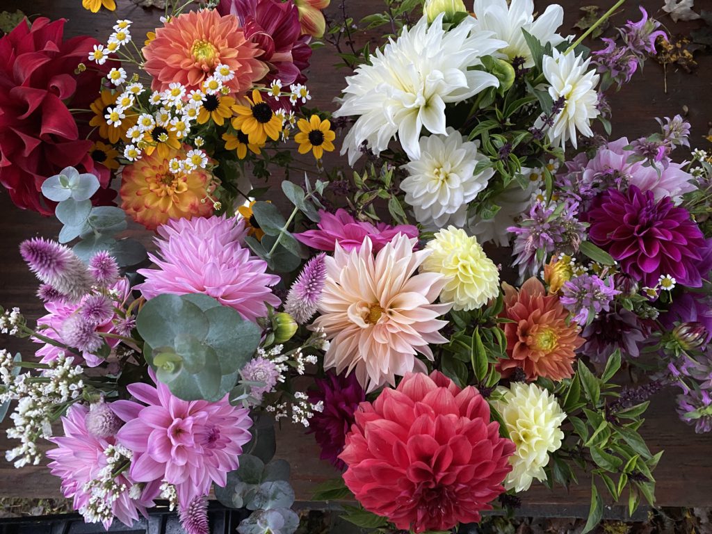 Appleberry Farm - Sandy Hook CT