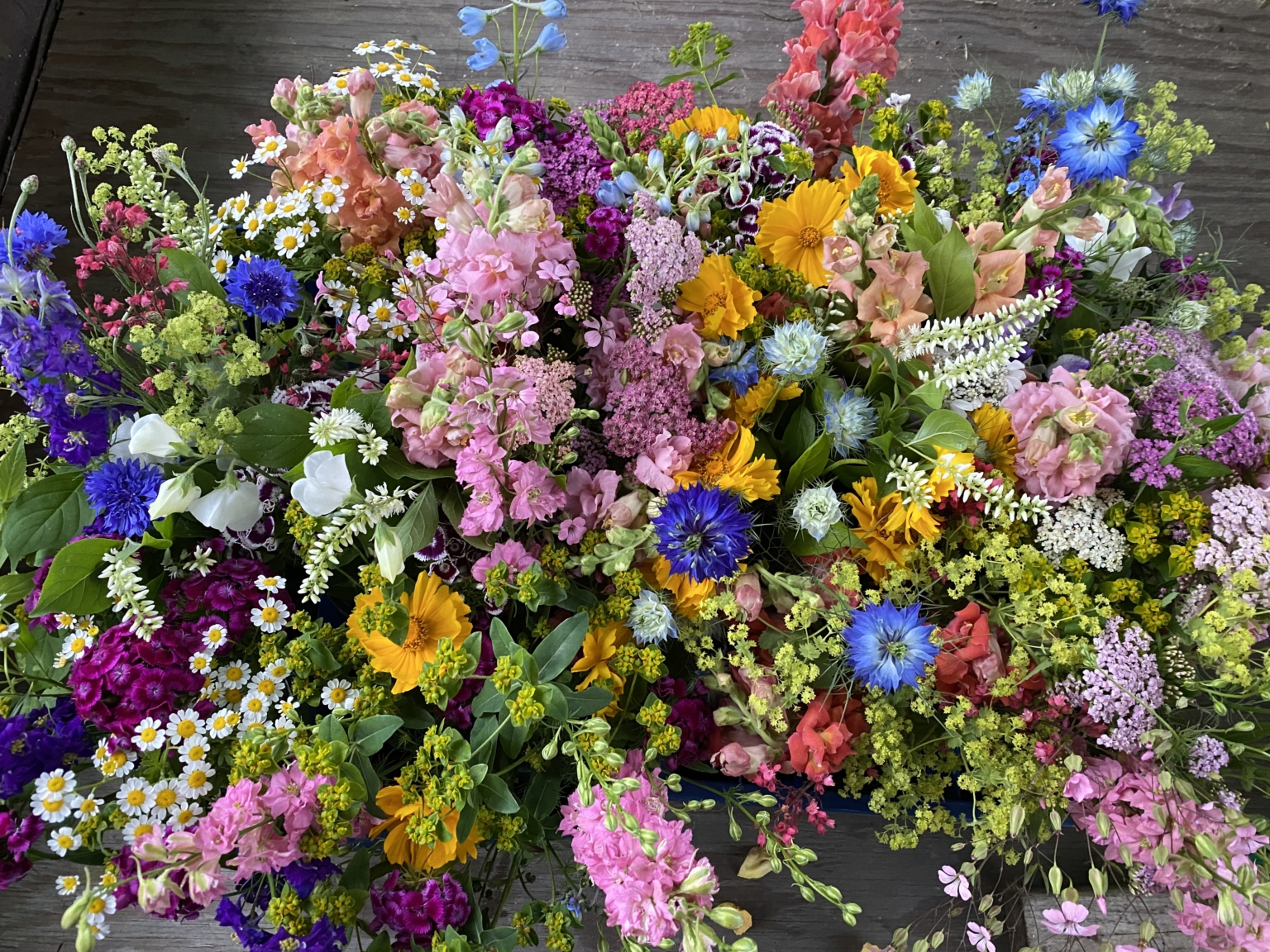 Becky at Appleberry Floral Design - Appleberry Farm